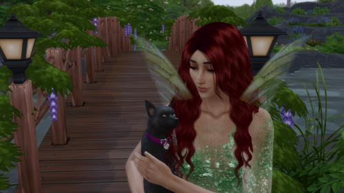 Sims 4 Pack Ratings (Includes CL&ILK) Tier List (Community Rankings ...