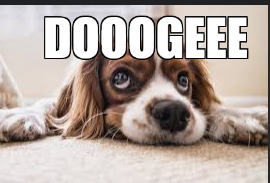 Create a Singularity to Infinity ranking Tier List - TierMaker