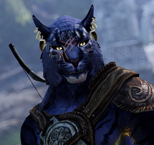 Create A Skyrim Custom Voiced Followers Tier List Tiermaker