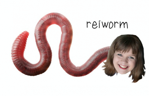 Slug Party Seasons Tier List (Community Rankings) - TierMaker