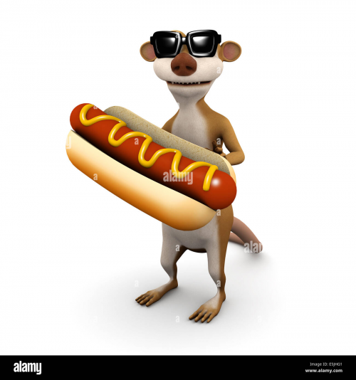 Snoog Tier List (Community Rankings) - TierMaker