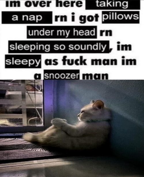 Create a snoozer men Tier List - TierMaker