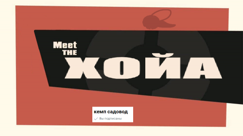 SoFG 3rd season submissions tierlist Tier List (Community Rankings ...