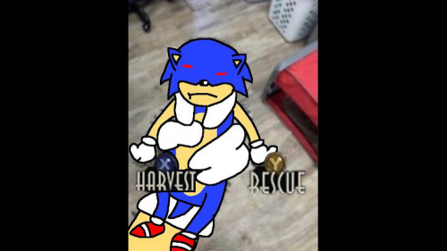 Create a Sonic.Exe Songs Tier List - TierMaker Create a Sonic.Exe Songs Tier List - TierMaker