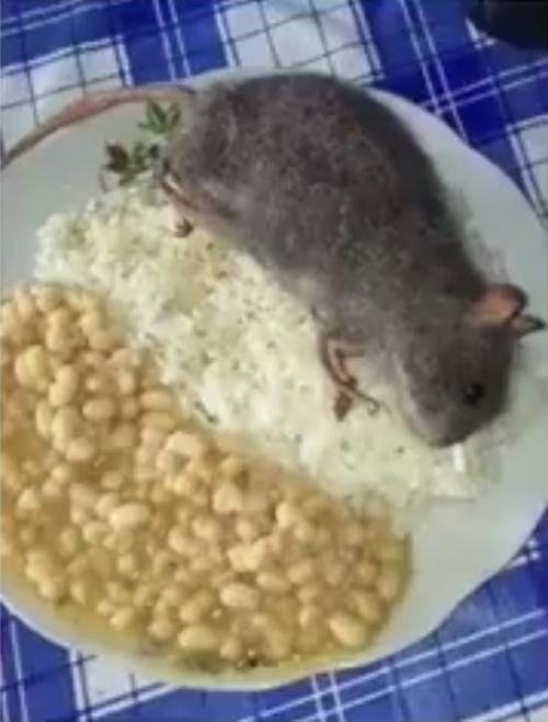 Soul Food Tier List (Community Rankings) - TierMaker