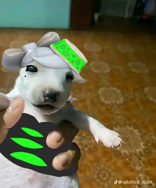 Create a Splatfest ranking Tier List - TierMaker