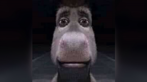 Create a *ss Tier List - TierMaker