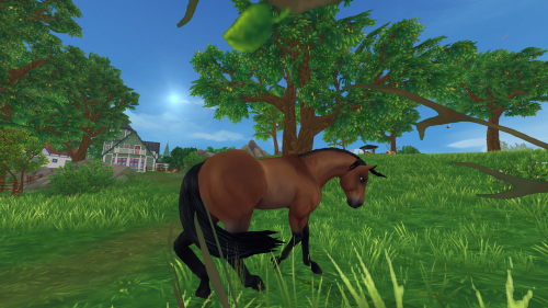 SSO ALL horses 3. gen Tier List (Community Rankings) - TierMaker