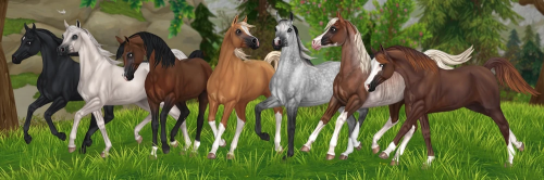 Star stable online Arabian Tier List (Community Rankings) - TierMaker