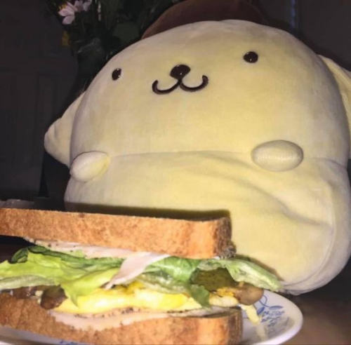 sunniebunniie OC Tier List (Community Rankings) - TierMaker