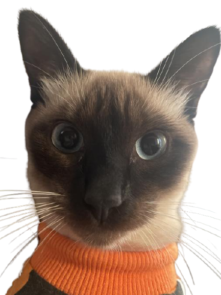 Create a Sunny & Star Nicknames Tier List - TierMaker