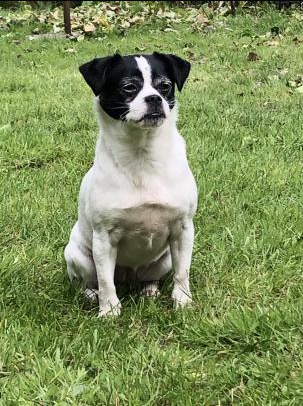 Create a Sus Ppl (3.0) Tier List - TierMaker