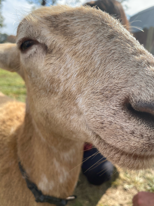 Susan and Alexa’s 2021 BFF Movies ! Tier List (Community Rankings ...