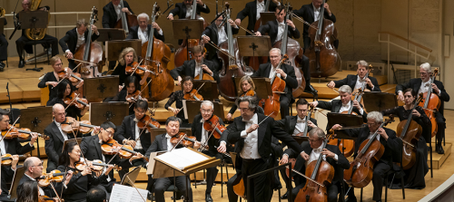 Create a Symphony Orchestra Instruments Tier List - TierMaker