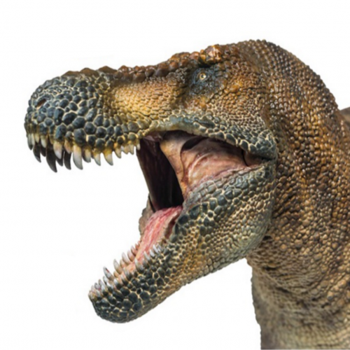 T. rex figures Tier List (Community Rankings) - TierMaker