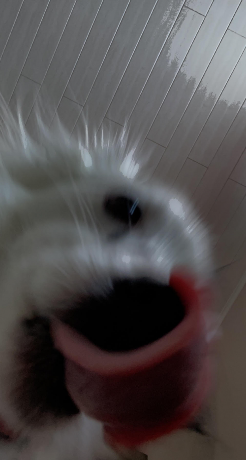 Create a Taavi Moods Tier List - TierMaker