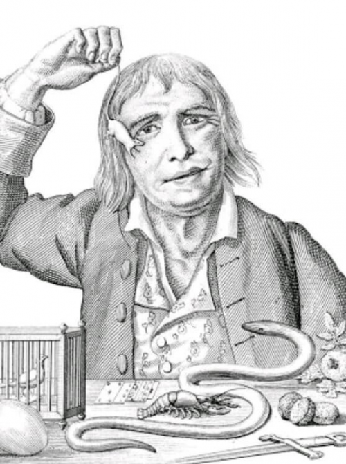 Create a Tarrare and his snacks Tier List - TierMaker