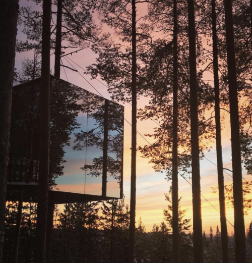 tc tierlist Tier List (Community Rankings) - TierMaker