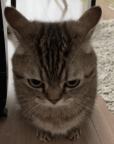 Create a Tds Event Alignment Chart - TierMaker