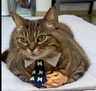 Create a Tear of the Tier List - TierMaker