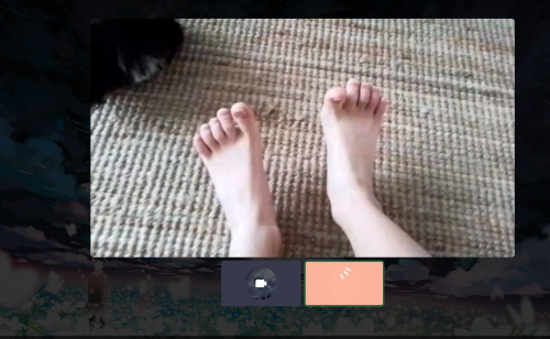 Create a Template For Almost Everything Tier List - TierMaker