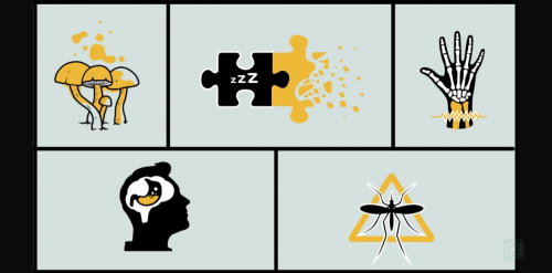 Create a Ten Most Important Health Breakthroughs. Tier List - TierMaker