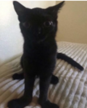 Terraria classes Tier List (Community Rankings) - TierMaker