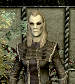 Thalmor Agents (skyrim) Tier List (Community Rankings) - TierMaker