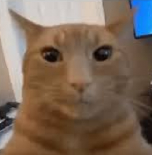 Create a The Background Tier List - TierMaker