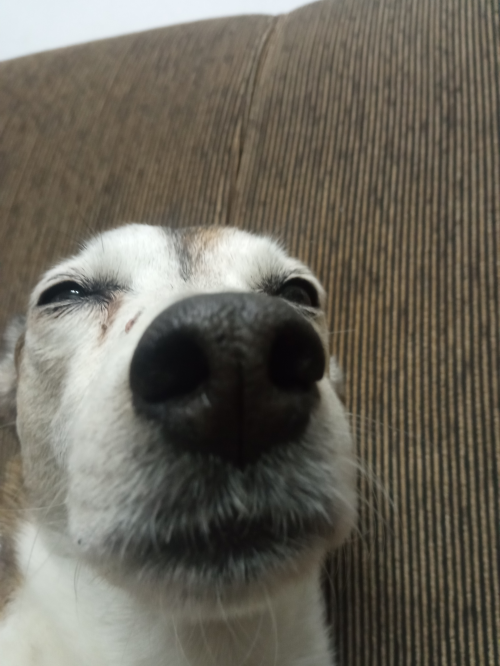 Create a The Best GoBb characters Tier List - TierMaker