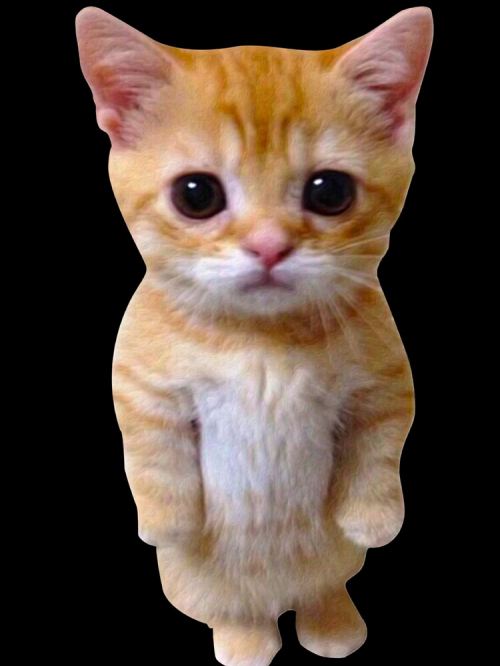 The bkys epic ra king Tier List (Community Rankings) - TierMaker