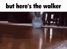 Create a the cats gifs s Tier List - TierMaker