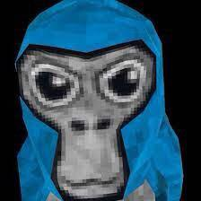 Create a The g tag cosmetics random hope u like Tier List - TierMaker