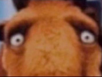 Create a The Krust Krew Tier List - TierMaker