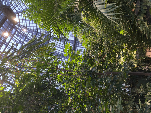 Create a the most smashable pflanzen Tier List - TierMaker