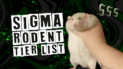 The Sigma Rodent Tier List (Community Rankings) - TierMaker