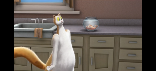 The Twisted Whiskers Show Episodes Tier List Community Rankings
