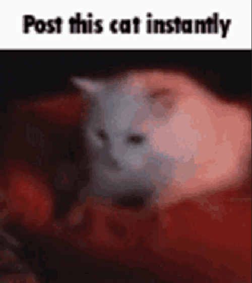 Create a The Wawa Den Vibes Tier List - TierMaker