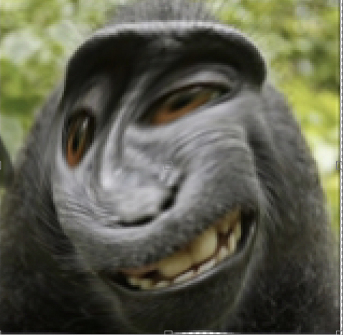 Create a the worst images ever That no one should rank Tier List ...