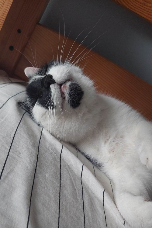 Create a Themes ranking Tier List - TierMaker