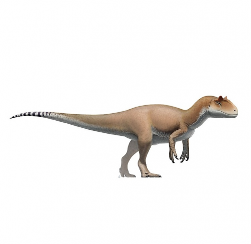 Create a Theropod Dinosaurs Tier List - TierMaker