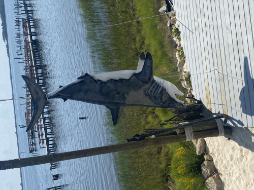 Create a Thirst traps Tier List - TierMaker