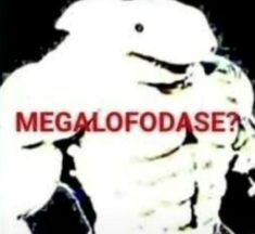 Create a Thomas Turbano Nakama Tier List - TierMaker