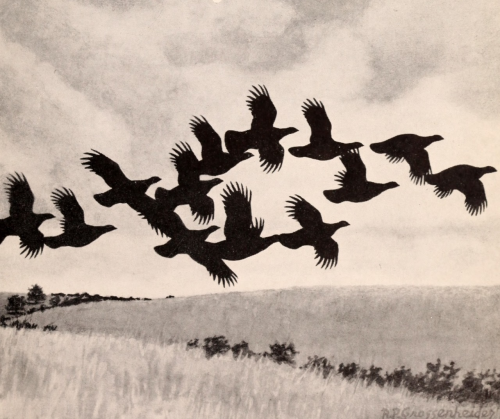 Create a cool Tier List - TierMaker