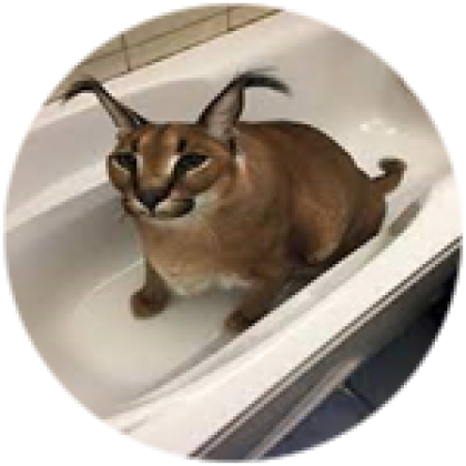 Create a of Floppa Characters Tier List - TierMaker