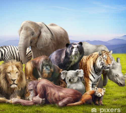 Create a Tiere Tier List - TierMaker