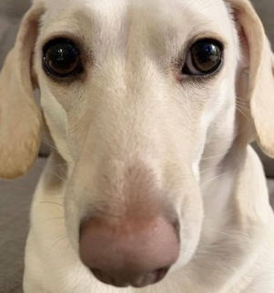 Create a tierlist 2022 memes Tier List - TierMaker