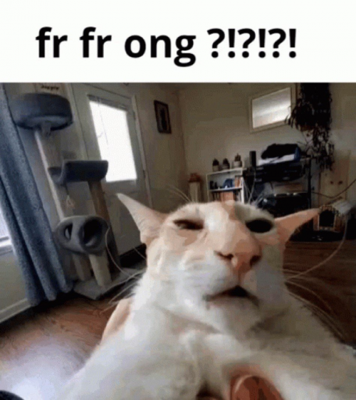 Tierlist das logos do 501 Tier List (Community Rankings) - TierMaker