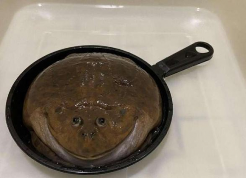 tierlist de los papus de el team Tier List (Community Rankings) - TierMaker