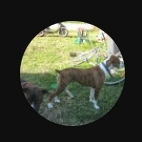 Create a Tierlist des chaînes archives généralistes ! Tier List - TierMaker